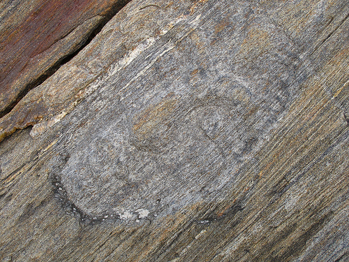 Mystery Artist Carved Faces into Rocks on Coney Island Beach in 1970s ...