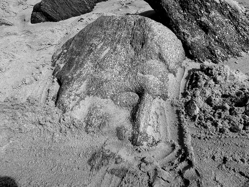 Mystery Artist Carved Faces into Rocks on Coney Island Beach in 1970s ...
